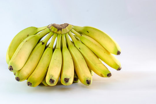 Imagens de Penca – Explore Fotografias do Stock, Vetores e Vídeos de ...