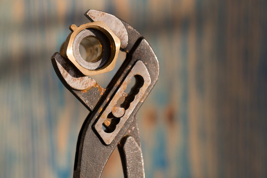 krigo photos, images, assets | Adobe Stock