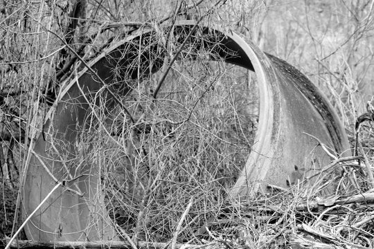 Crasse Bilder – Durchsuchen 138 Archivfotos, Vektorgrafiken und Videos ...