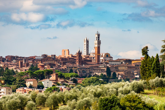 「Tuskani」の写真素材 | 601件の無料イラスト画像 | Adobe Stock