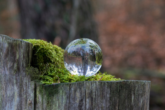 Birgit Urban photos, images, assets | Adobe Stock