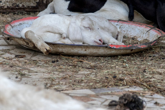 Birgit Urban photos, images, assets | Adobe Stock