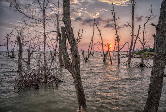 High-Tide Images – Browse 233 Stock Photos, Vectors, and Video | Adobe ...