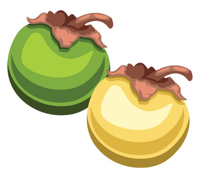 Nanche 이미지 – 찾아보기 402 스톡 사진, 벡터 및 비디오 | Adobe Stock