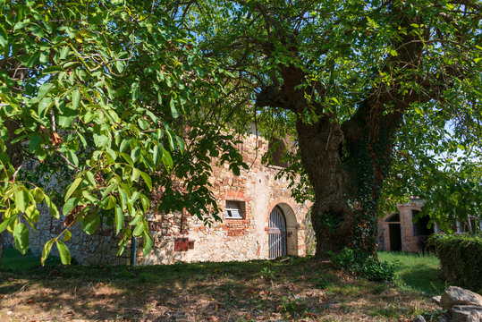 รูปภาพTuskani – เลือกดูภาพถ่ายสต็อก เวกเตอร์ และวิดีโอ601 | Adobe Stock