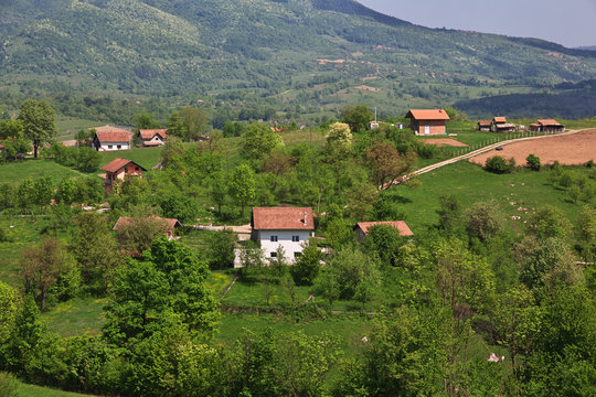 Guca Bilder – Durchsuchen 171 Archivfotos, Vektorgrafiken und Videos ...