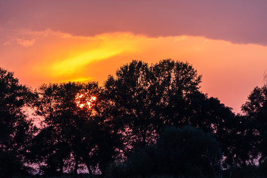 Evening Sunset With Trees