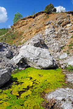 Hypertrophication Bilder – Durchsuchen 2,425 Archivfotos ...