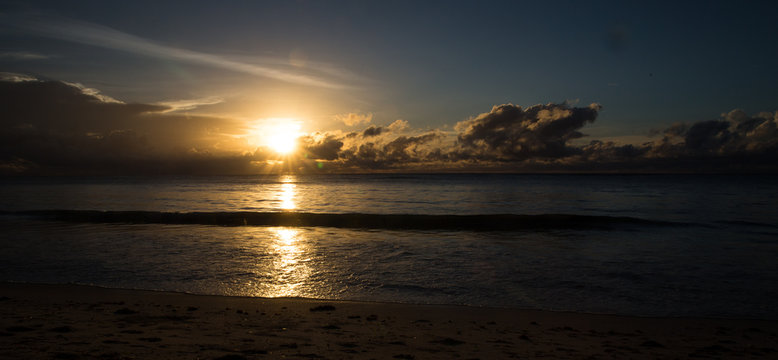 Palman Bilder – Durchsuchen 573 Archivfotos, Vektorgrafiken und Videos ...