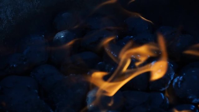 Comburant Images – Browse 148 Stock Photos, Vectors, and Video | Adobe ...