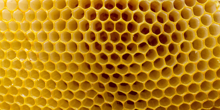 Alveare Bilder – Durchsuchen 1,650 Archivfotos, Vektorgrafiken und ...