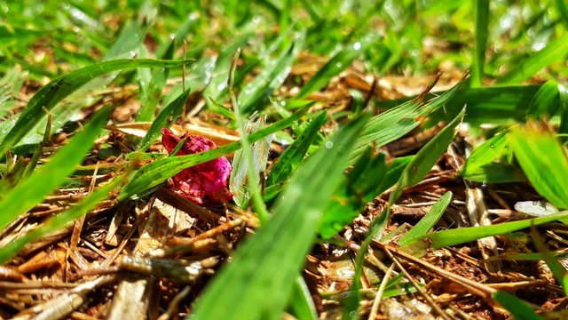 ALEX photos, images, assets | Adobe Stock