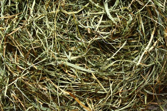 Heu Images – Parcourir 26,653 le catalogue de photos, vecteurs et ...