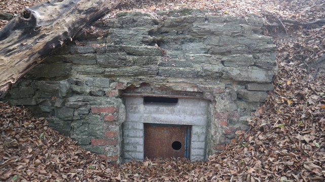 Bunket Images – Browse 10 Stock Photos, Vectors, and Video | Adobe Stock