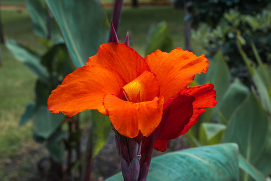 Platanillo Images – Browse 109 Stock Photos, Vectors, and Video | Adobe ...