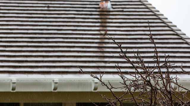 "Attention Seeking" Images – Browse 151 Stock Photos, Vectors, and ...