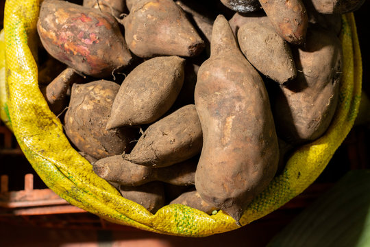 รูปภาพYacon – เลือกดูภาพถ่ายสต็อก เวกเตอร์ และวิดีโอ799 | Adobe Stock