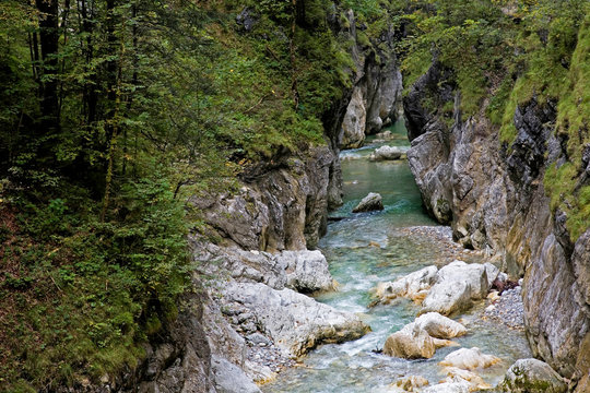 Gumpe Bilder – Durchsuchen 295 Archivfotos, Vektorgrafiken und Videos ...