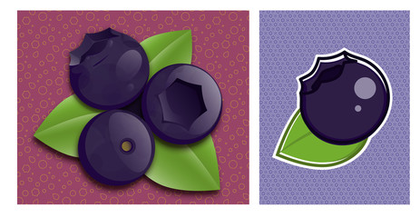 Sewing fabric with Blueberry objects and seamless background set: 4 ...