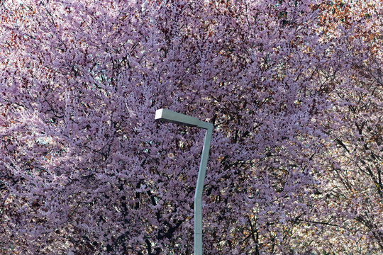 Joe Albrecht photos, images, assets | Adobe Stock