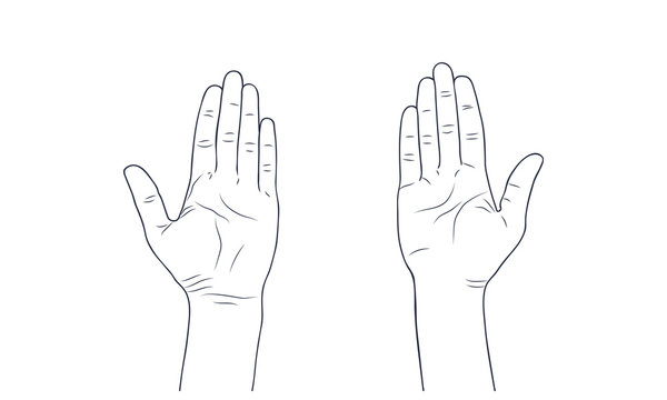 Hand Outline Vector