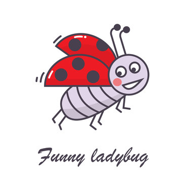 รูปภาพLadybag – เลือกดูภาพถ่ายสต็อก เวกเตอร์ และวิดีโอ255 | Adobe Stock