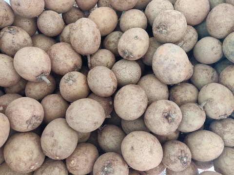 Chikku Images – Browse 83 Stock Photos, Vectors, and Video | Adobe Stock