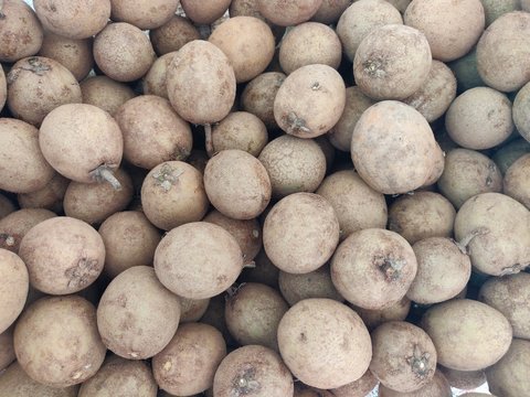 Chikku Images – Browse 83 Stock Photos, Vectors, and Video | Adobe Stock