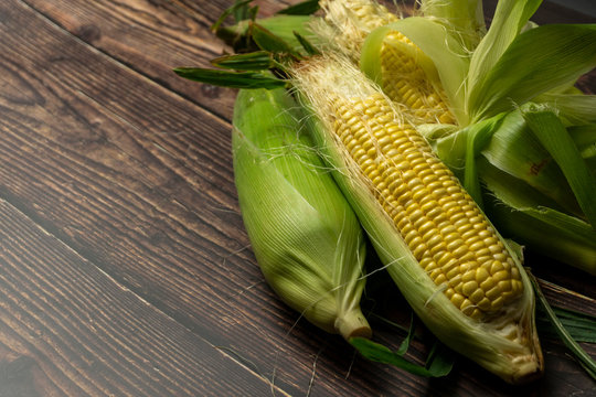 "Golden Corn" Bilder – Durchsuchen 448 Archivfotos, Vektorgrafiken und ...