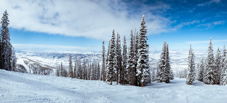 Winterscape Images – Browse 1,506 Stock Photos, Vectors, and Video ...