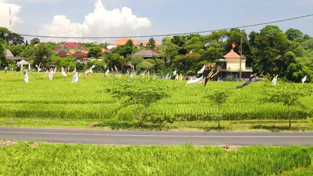 Flaglet Bilder – Durchsuchen 331 Archivfotos, Vektorgrafiken und Videos ...