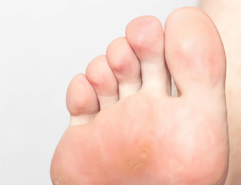 Mazol Images – Browse 53 Stock Photos, Vectors, and Video | Adobe Stock