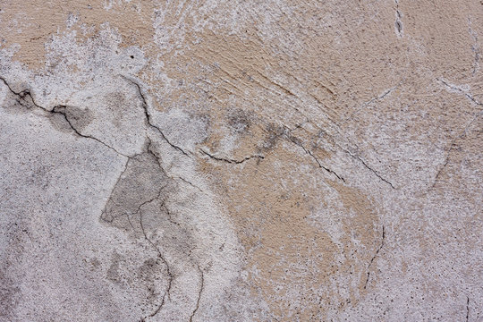 Musty Bilder – Durchsuchen 6,112 Archivfotos, Vektorgrafiken und Videos ...