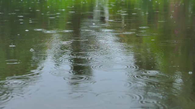 "Drizzling Rain"-Bilder: Stock-Fotos & -Videos. | Adobe Stock