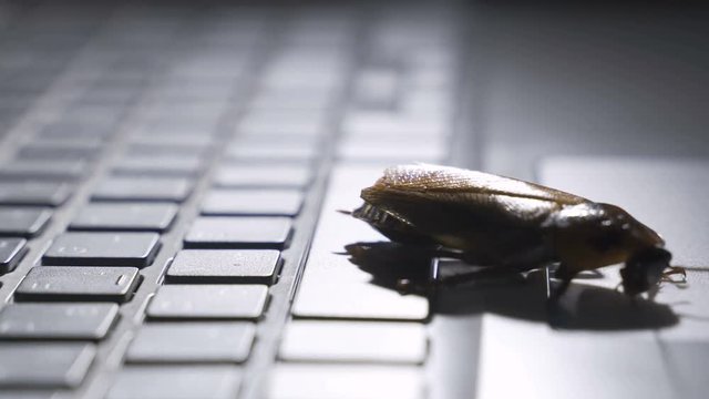 รูปภาพOdious – เลือกดูภาพถ่ายสต็อก เวกเตอร์ และวิดีโอ6,920 | Adobe Stock