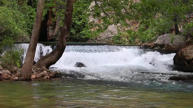 Viability Images – Browse 1,976 Stock Photos, Vectors, and Video ...