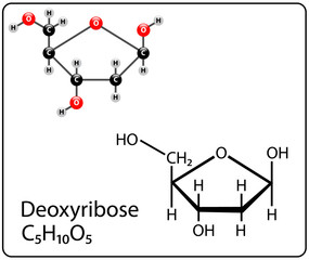 Deoxyribose Molecular Structure