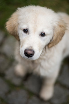 Freudlich bilder – Bläddra bland 98 stockfoton, vektorer och videor ...