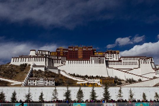 Budala Images – Browse 34 Stock Photos, Vectors, and Video | Adobe Stock