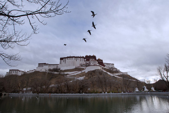 Budala Images – Browse 34 Stock Photos, Vectors, and Video | Adobe Stock