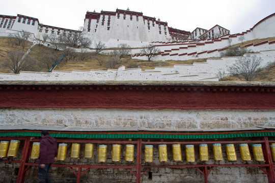 Budala Images – Browse 34 Stock Photos, Vectors, and Video | Adobe Stock