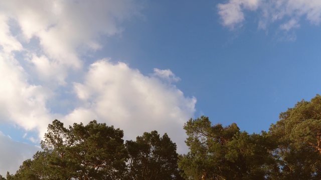 Fast-Track Images – Browse 65 Stock Photos, Vectors, and Video | Adobe ...