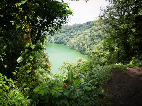 Chato Bilder – Durchsuchen 835 Archivfotos, Vektorgrafiken und Videos ...