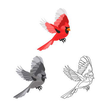 Drawing Of Cardinal In Flight