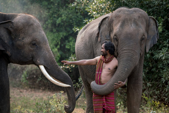 「Mahout」の画像 - 3,230 件の Stock 写真、ベクターおよびビデオ | Adobe Stock