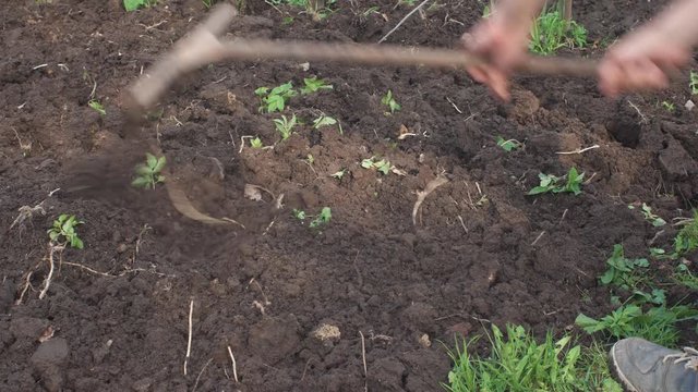 Imágenes de "Soil Treatment": descubre bancos de fotos, ilustraciones ...