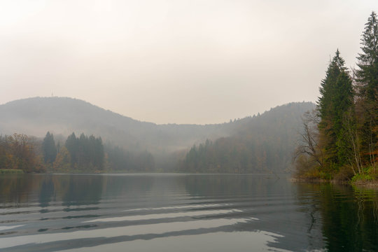 Unappealing Images – Browse 378 Stock Photos, Vectors, and Video ...