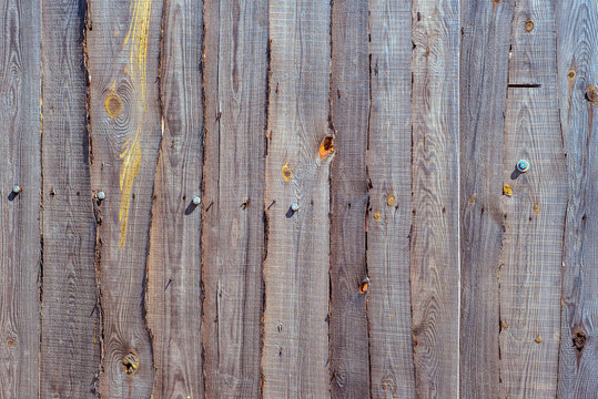 Fenece Images – Browse 58 Stock Photos, Vectors, and Video | Adobe Stock