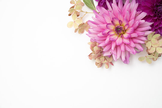 Frme Images – Browse 60 Stock Photos, Vectors, and Video | Adobe Stock