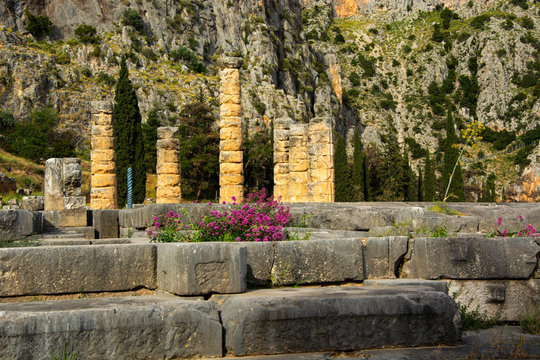 รูปภาพPythia – เลือกดูภาพถ่ายสต็อก เวกเตอร์ และวิดีโอ1,249 | Adobe Stock